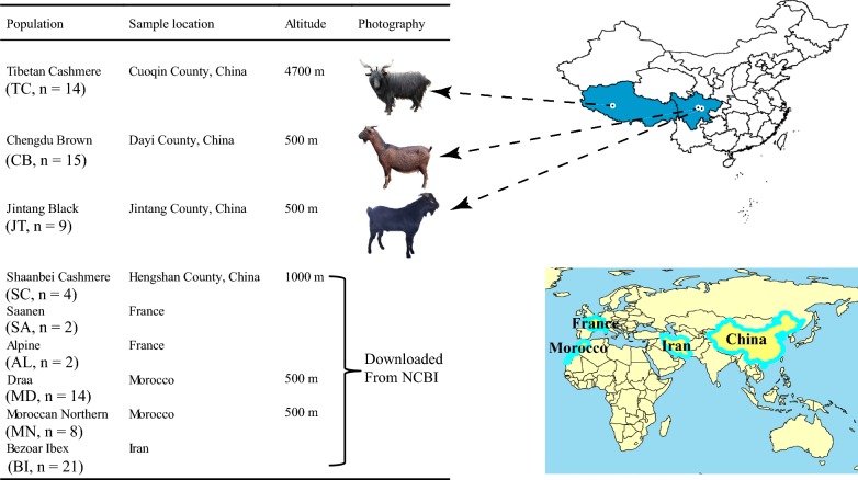 Comparative genome analyses reveal the unique genetic composition and selection signals ...