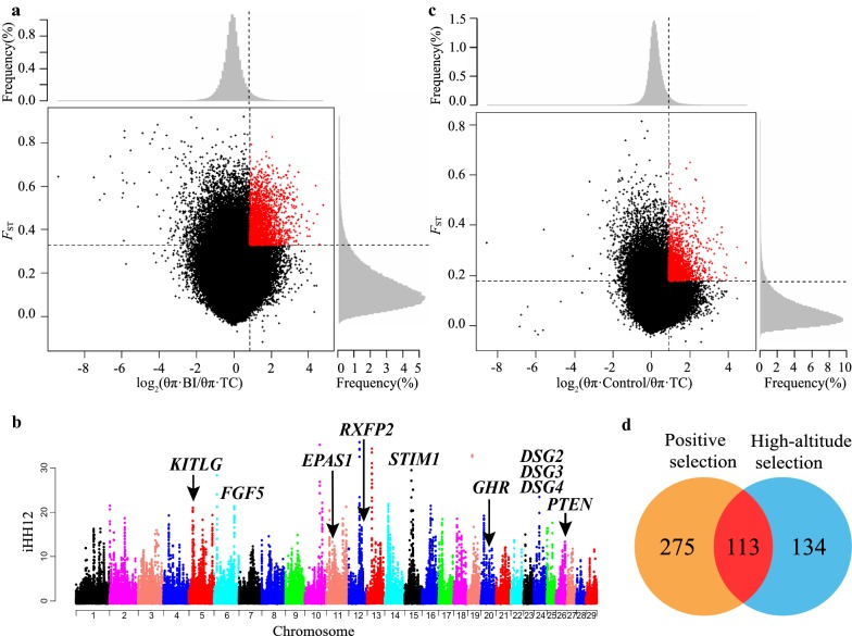 Comparative genome analyses reveal the unique genetic composition and selection signals ...