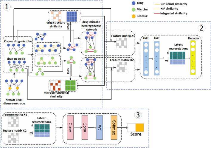 GACNNMDA: a computational model for predicting potential human microbe ...