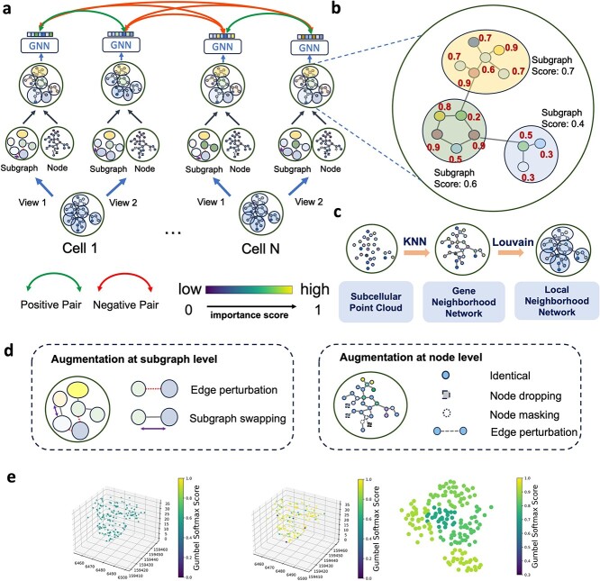 Graph contrastive learning of subcellular-resolution spatial transcriptomics improves cell type ...