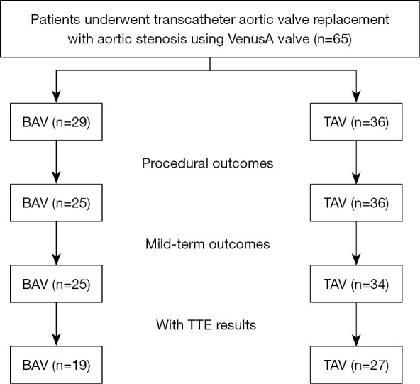 Transcatheter aortic valve replacement in the treatment of bicuspid aortic stenosis with “down ...