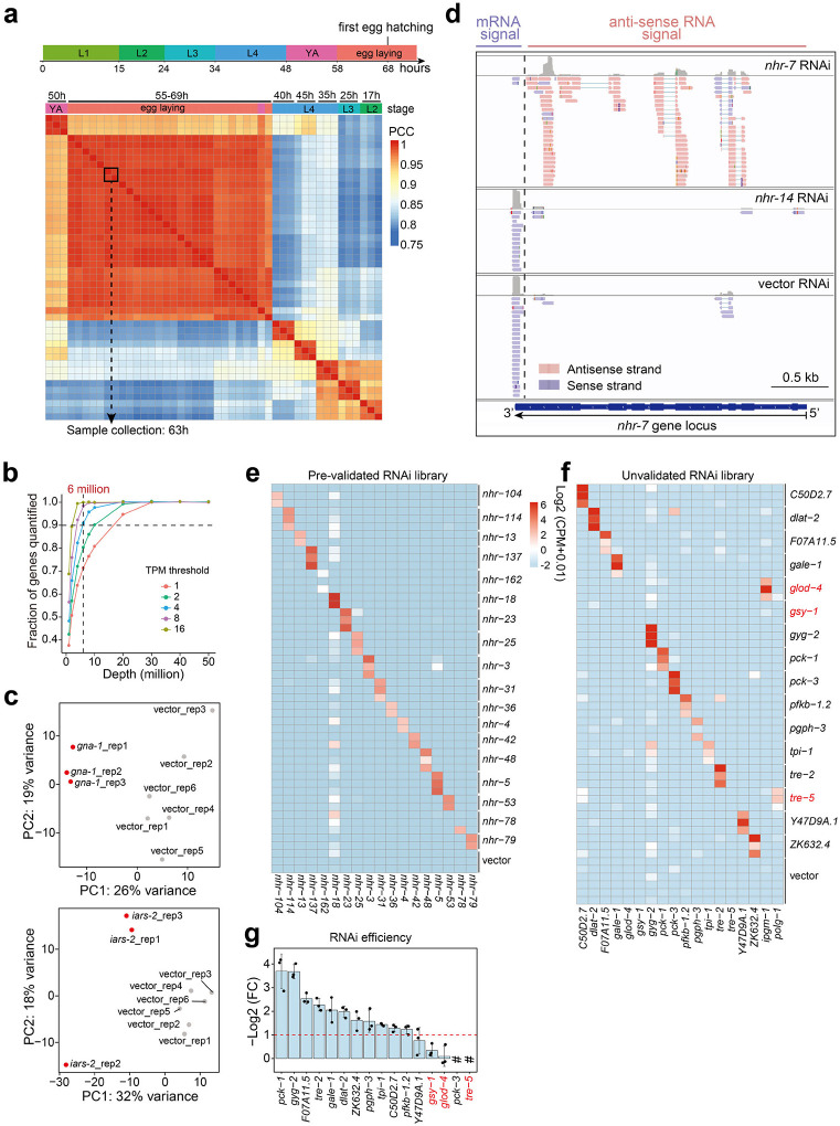 Worm Perturb-Seq: massively parallel whole-animal RNAi and RNA-seq - PMC