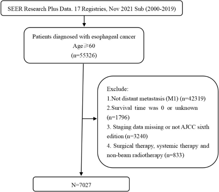 Prognostic analysis and treatment utilization of different treatment ...