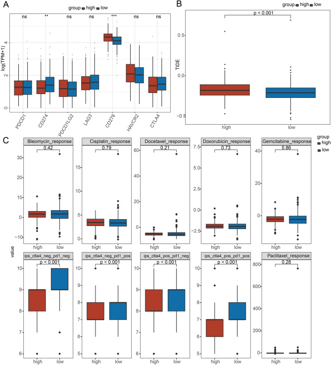 Generation of novel lipid metabolism-based signatures to predict prognosis and immunotherapy ...