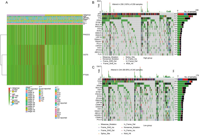 Generation of novel lipid metabolism-based signatures to predict prognosis and immunotherapy ...