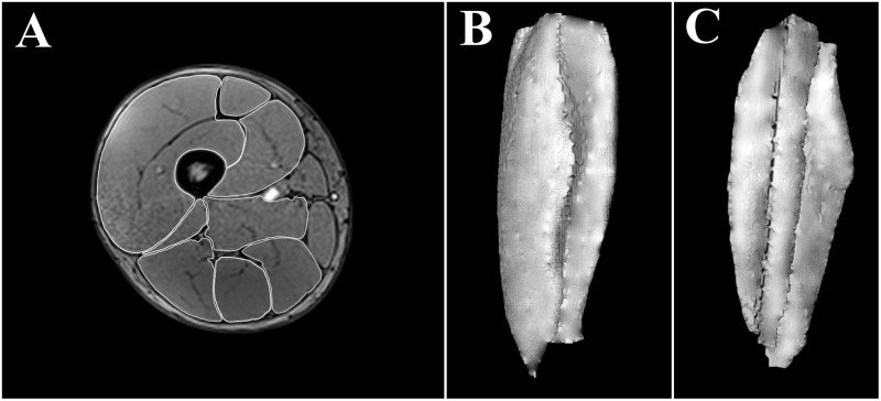 FIGURE 3