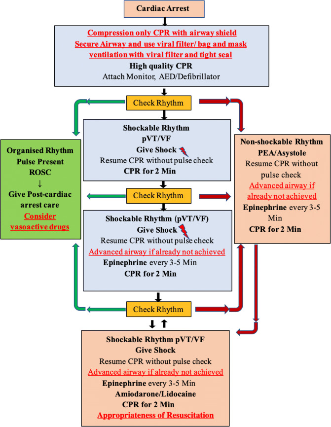 IAP ALS Update on Resuscitation Guidelines During COVID-19 Pandemic - PMC