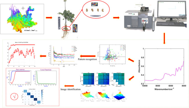 FT-NIR Spectra of Different Dimensions Combined with Machine Learning and Image Recognition for ...
