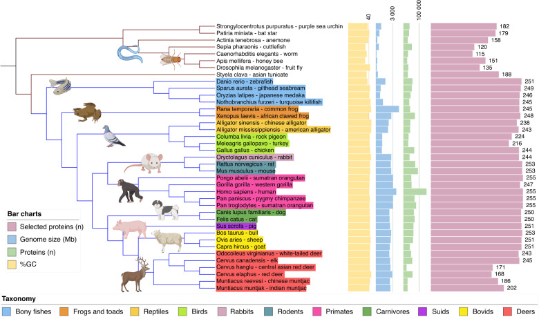 Phylobone: a comprehensive database of bone extracellular matrix proteins in human and model ...