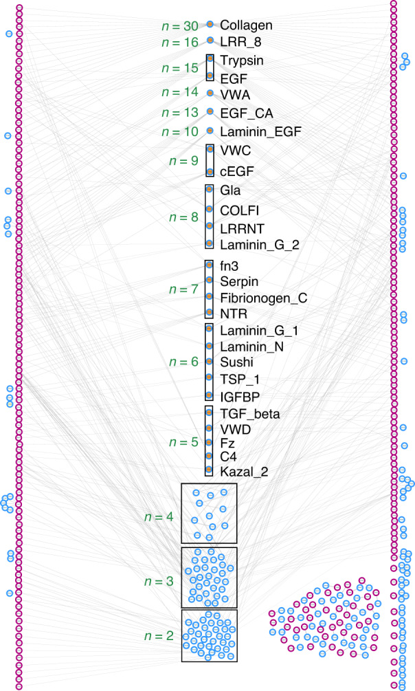 Phylobone: a comprehensive database of bone extracellular matrix proteins in human and model ...