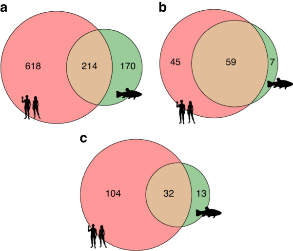 Phylobone: a comprehensive database of bone extracellular matrix proteins in human and model ...