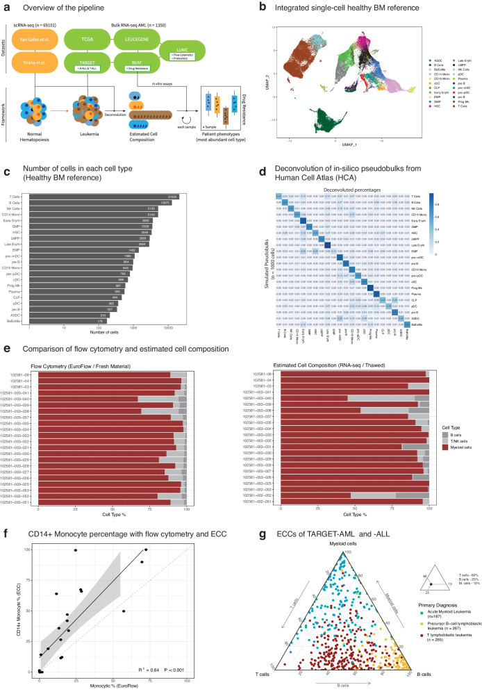 A transcriptomic based deconvolution framework for assessing differentiation stages and drug ...