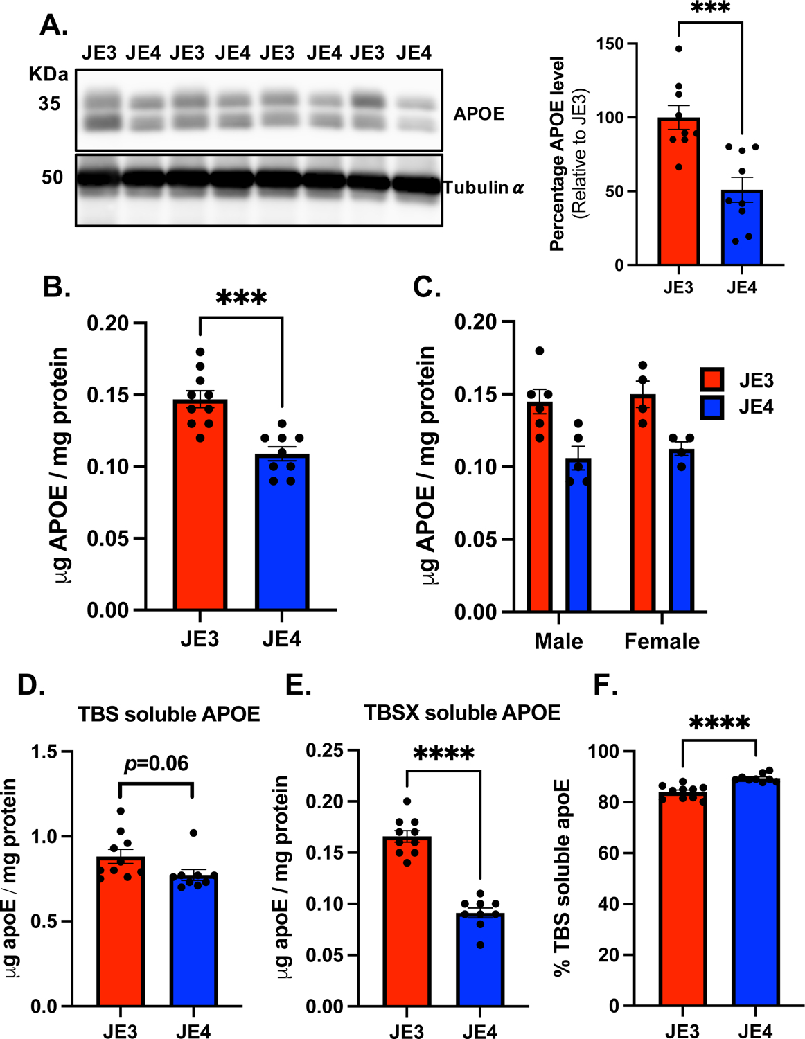 Independent APOE4 knock-in mouse models display reduced brain APOE protein, altered ...