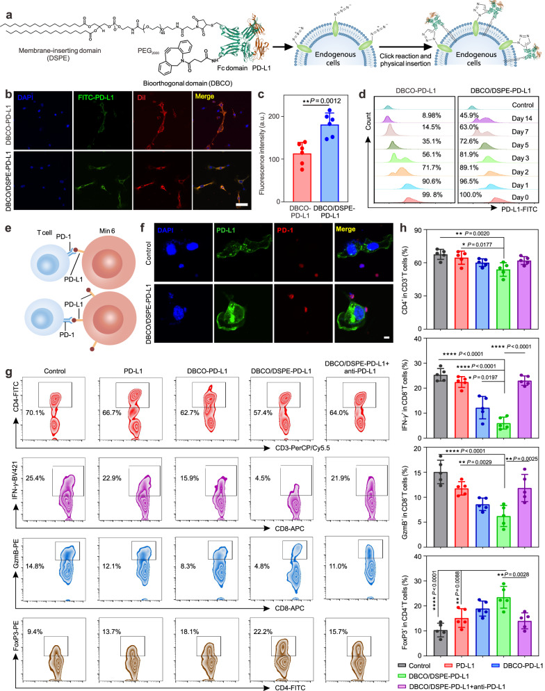 An in situ dual-anchoring strategy for enhanced immobilization of PD-L1 to treat autoimmune ...