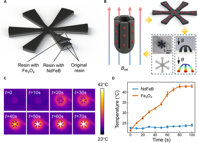 Enhanced Digital Light Processing-Based One-Step 3-Dimensional Printing of Multifunctional ...