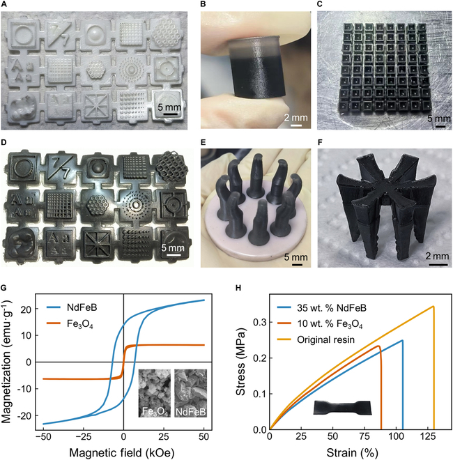 Enhanced Digital Light Processing-Based One-Step 3-Dimensional Printing of Multifunctional ...
