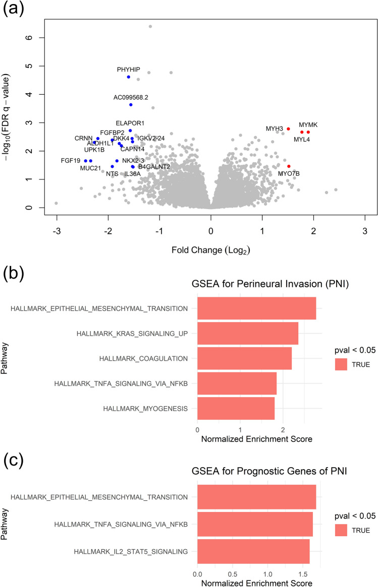 Prognostic DNA mutation and mRNA expression analysis of perineural invasion in oral squamous ...
