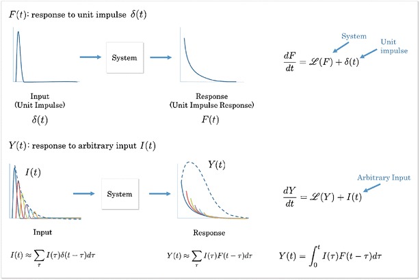 Deconvolution and IVIVC: Exploring the Role of Rate-Limiting Conditions ...