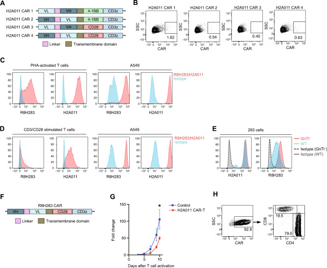 CD98 heavy chain protein is overexpressed in non-small cell lung cancer and is a potential ...