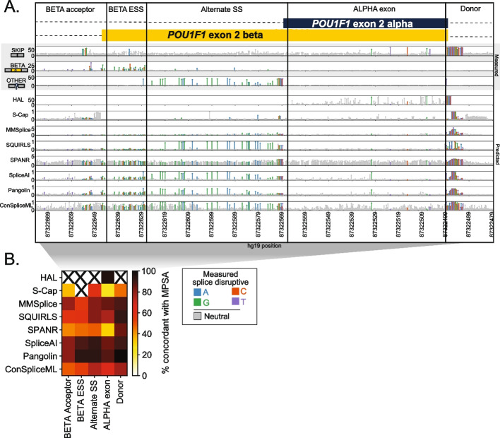 Benchmarking splice variant prediction algorithms using massively parallel splicing assays - PMC