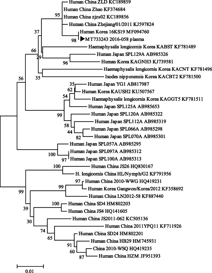 A case of SFTS coinfected with E. coli bacteremia - PMC