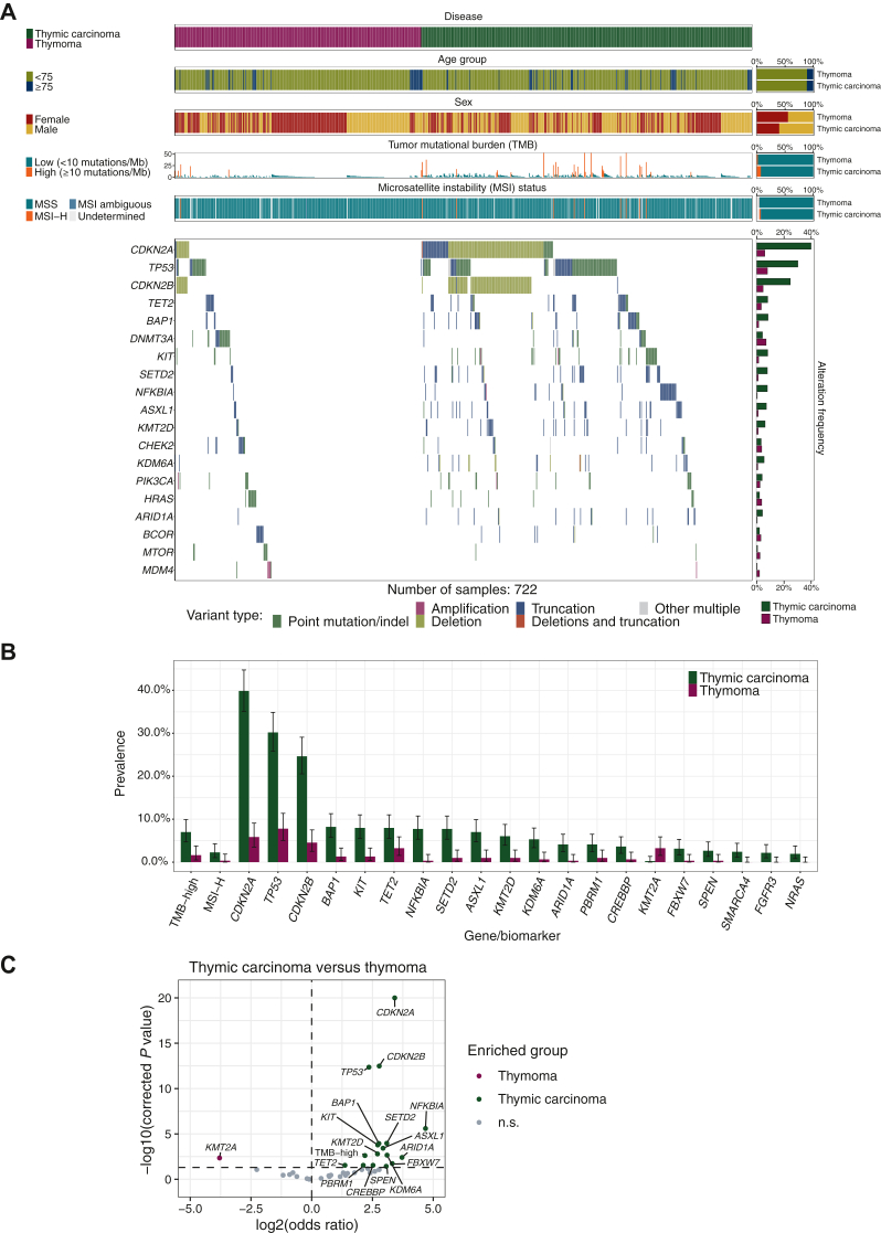 Genomic characterization of thymic epithelial tumors in a real-world dataset - PMC