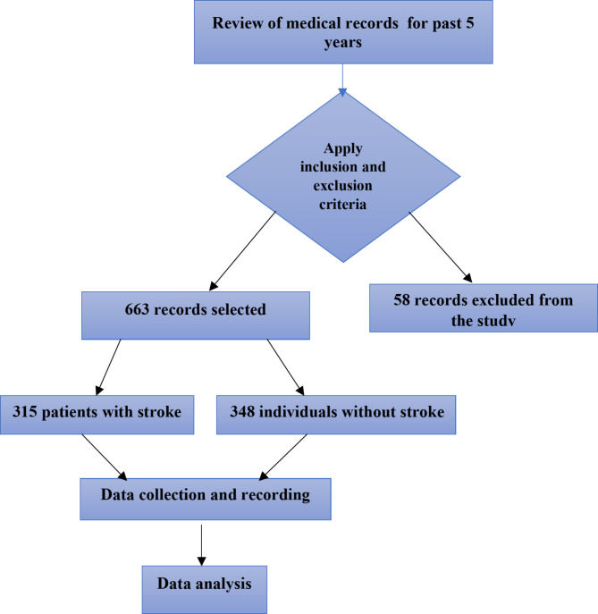Explainable artificial intelligence for stroke prediction through ...