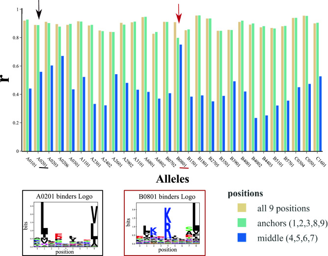 3pHLA-score improves structure-based peptide-HLA binding affinity prediction - PMC