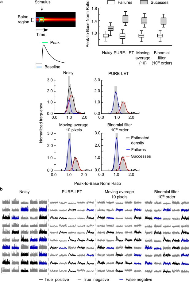 Wavelet Transform-Based De-Noising for Two-Photon Imaging of Synaptic Ca2+ Transients - PMC