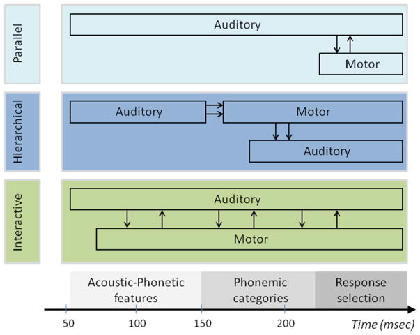 An interactive model of auditory-motor speech perception - PMC