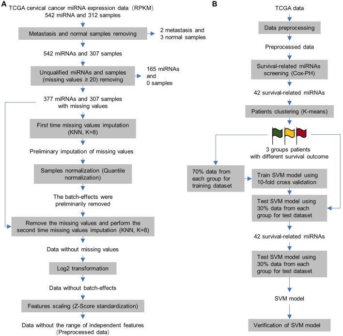 Machine learning-based prediction of survival prognosis in cervical ...