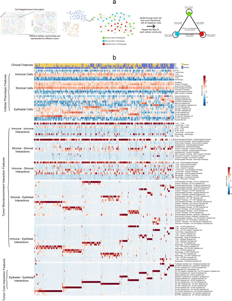 Deep learning and transfer learning identify breast cancer survival ...