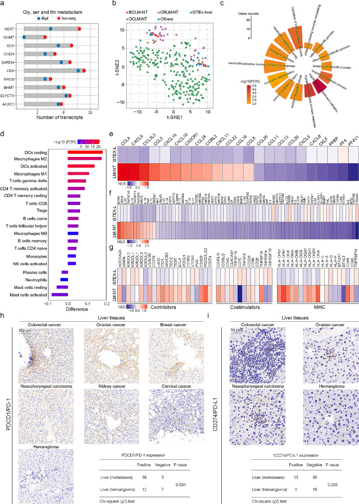 Long-read transcriptome landscapes of primary and metastatic liver ...