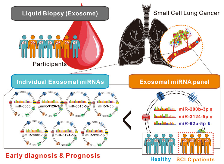 Identification of exosomal microRNA panel as diagnostic and prognostic biomarker for small cell ...