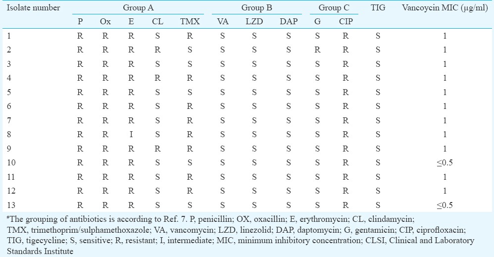 Staphylococcus hominis subsp. novobiosepticus, an emerging multidrug ... Staphylococcus hominis subsp. novobiosepticus, an emerging multidrug ...