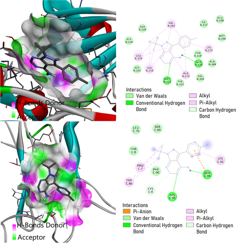 LDS-CNN: a deep learning framework for drug-target interactions prediction based on large-scale ...