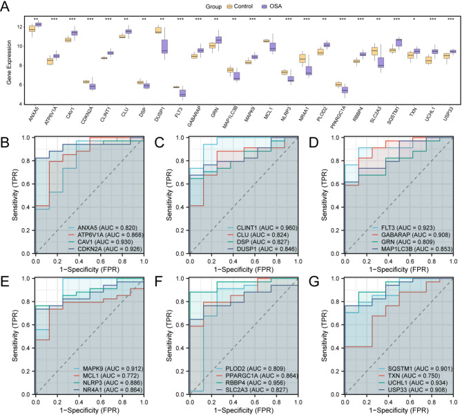 Polygenic insight identifies precision biomarkers decoding protein catabolism and autophagy ...