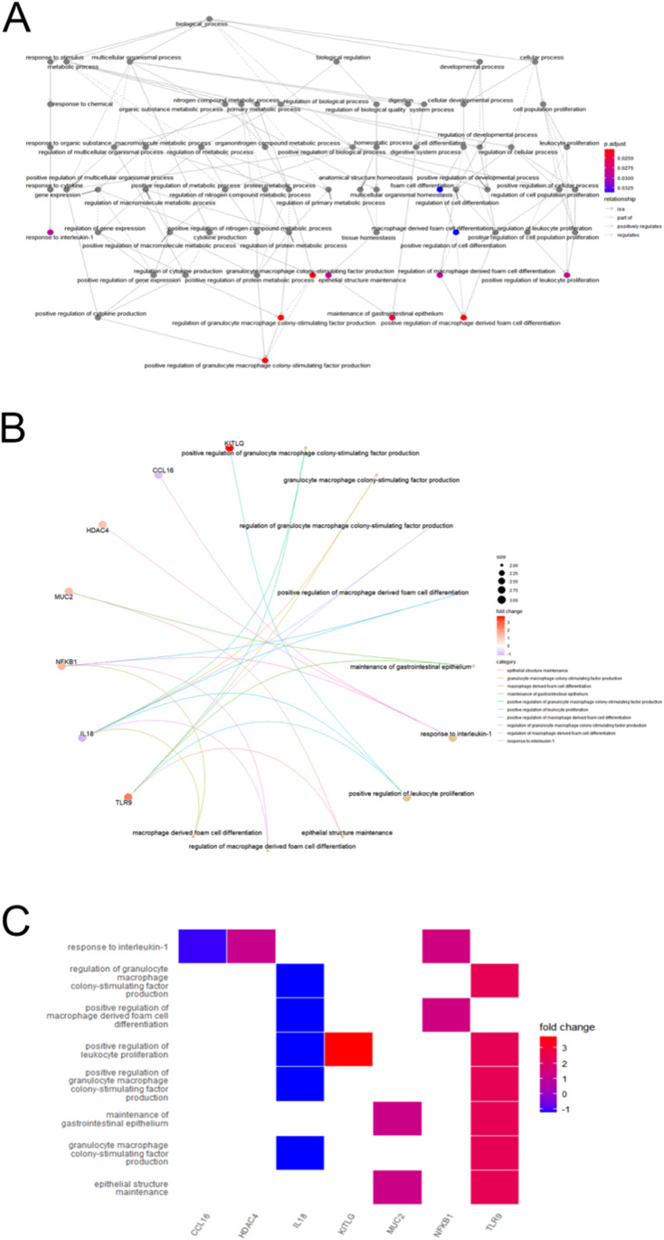 The correlation between primary open-angle glaucoma (POAG) and gut microbiota: a pilot study ...