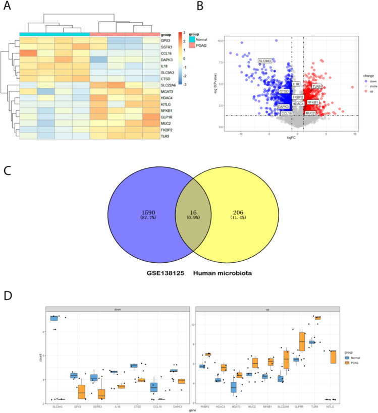 The correlation between primary open-angle glaucoma (POAG) and gut microbiota: a pilot study ...