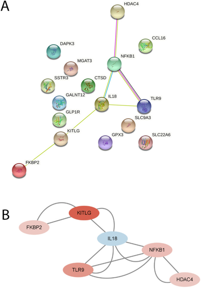 The correlation between primary open-angle glaucoma (POAG) and gut microbiota: a pilot study ...