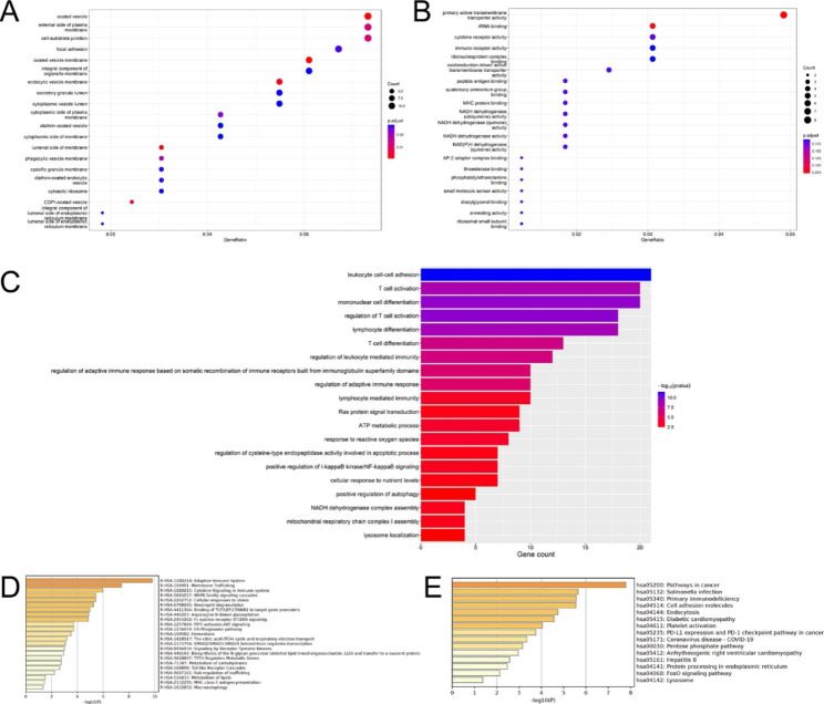 Identification of ferroptosis related biomarkers and immune infiltration in Parkinson’s disease ...
