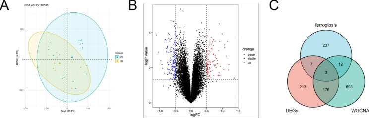 Identification of ferroptosis related biomarkers and immune infiltration in Parkinson’s disease ...