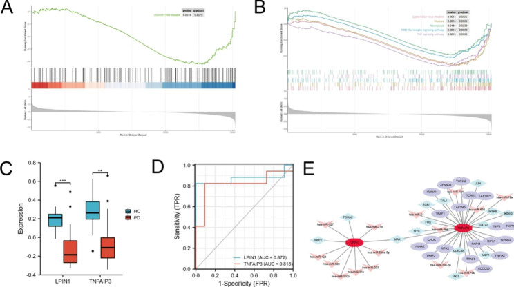 Identification of ferroptosis related biomarkers and immune infiltration in Parkinson’s disease ...