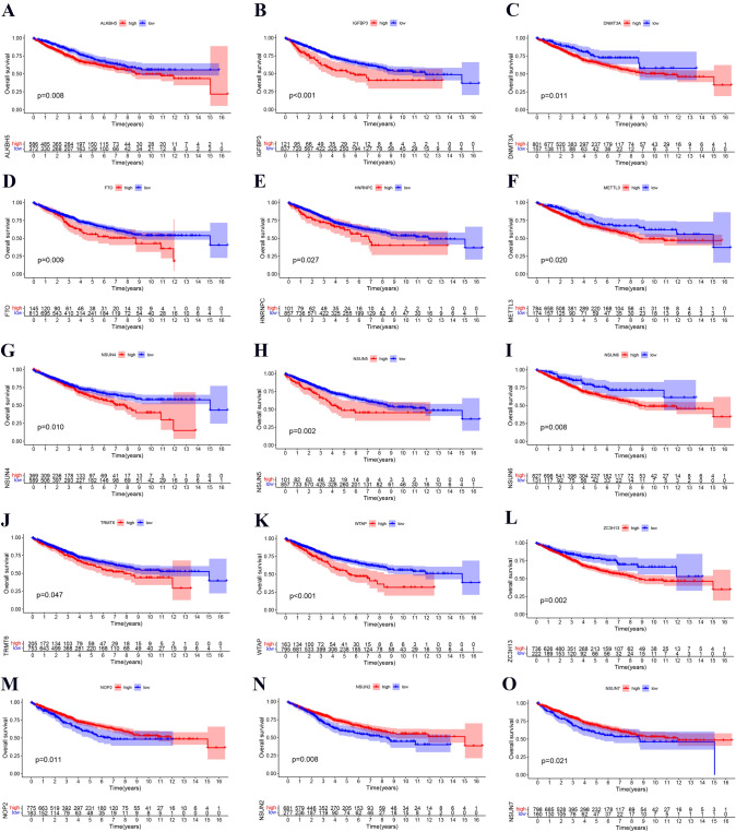 A novel m6A/m5C/m1A score signature to evaluate prognosis and its immunotherapy value in colon ...