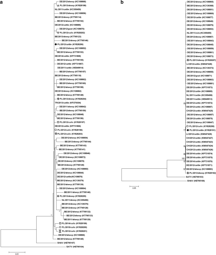 Comparison of Schmallenberg virus sequences isolated from mammal host and arthropod vector - PMC