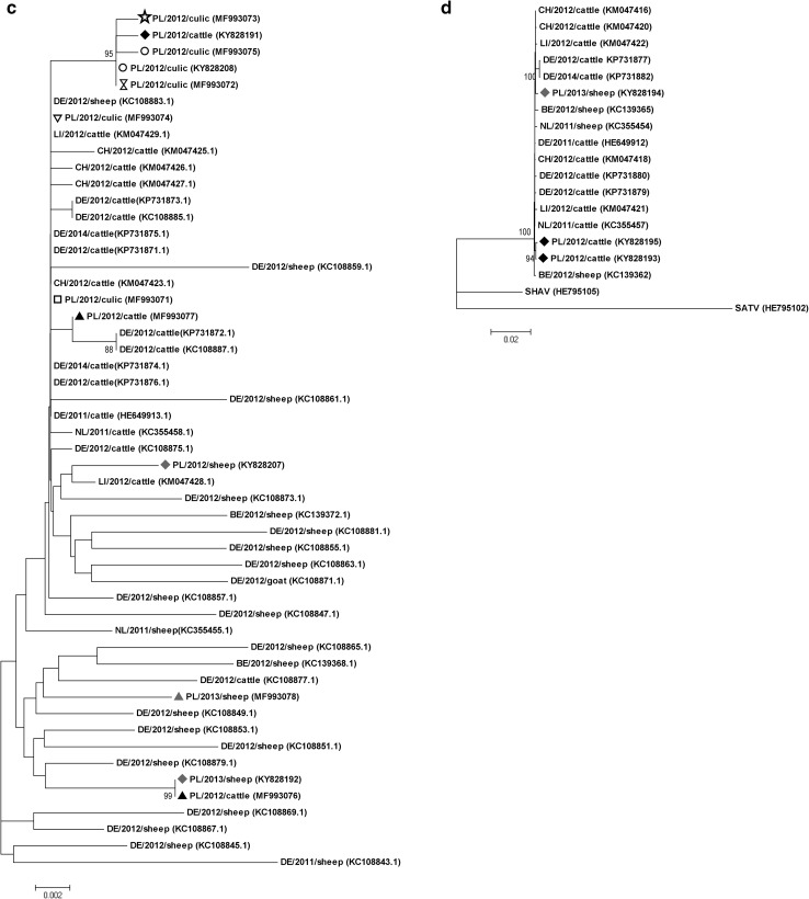 Comparison of Schmallenberg virus sequences isolated from mammal host and arthropod vector - PMC