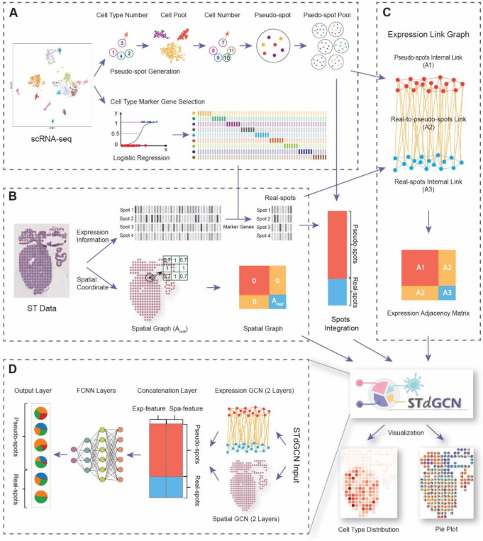 Spatial Transcriptomic Cell-type Deconvolution Using Graph Neural ...