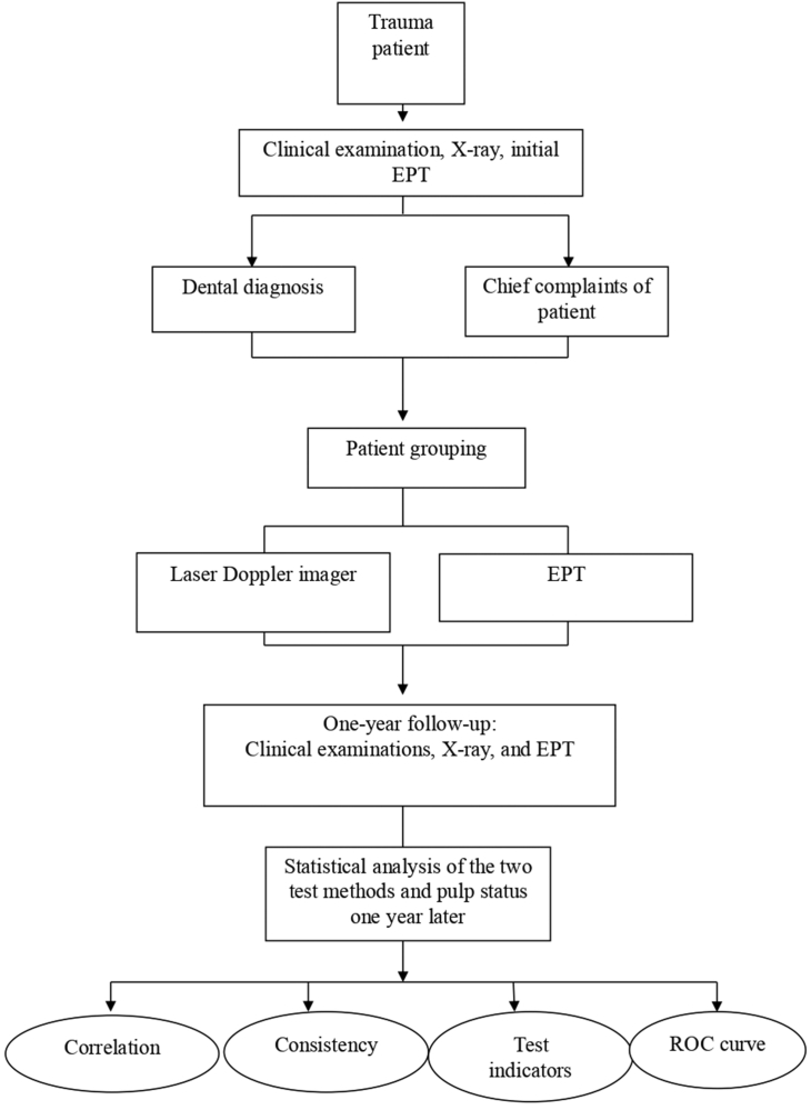 Efficacy assessment of laser Doppler imager in diagnosing the pulp ...