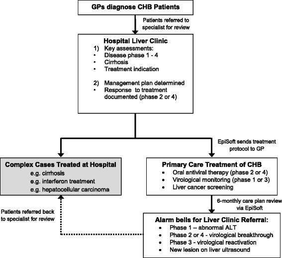 “B in IT” - a community-based model for the management of hepatitis B patients in primary care ...