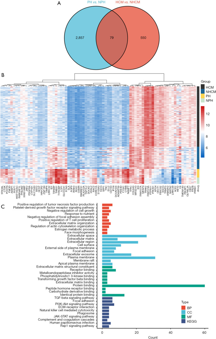 Integrative bioinformatics approach for identifying key genes and ...